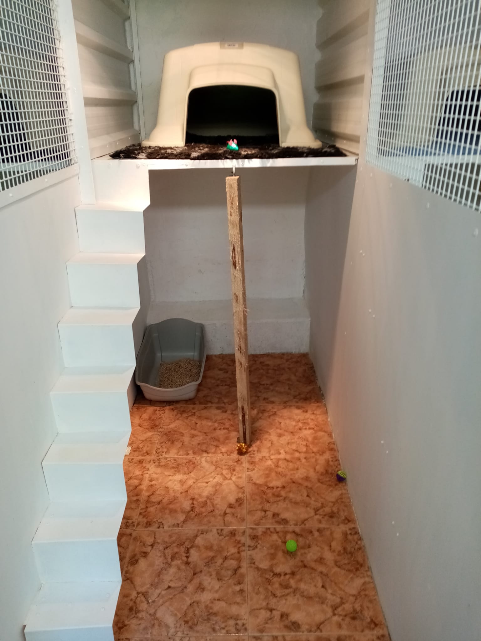 Kennels and Catteries Gallery – Glenmoor Boarding Kennels & Cattery