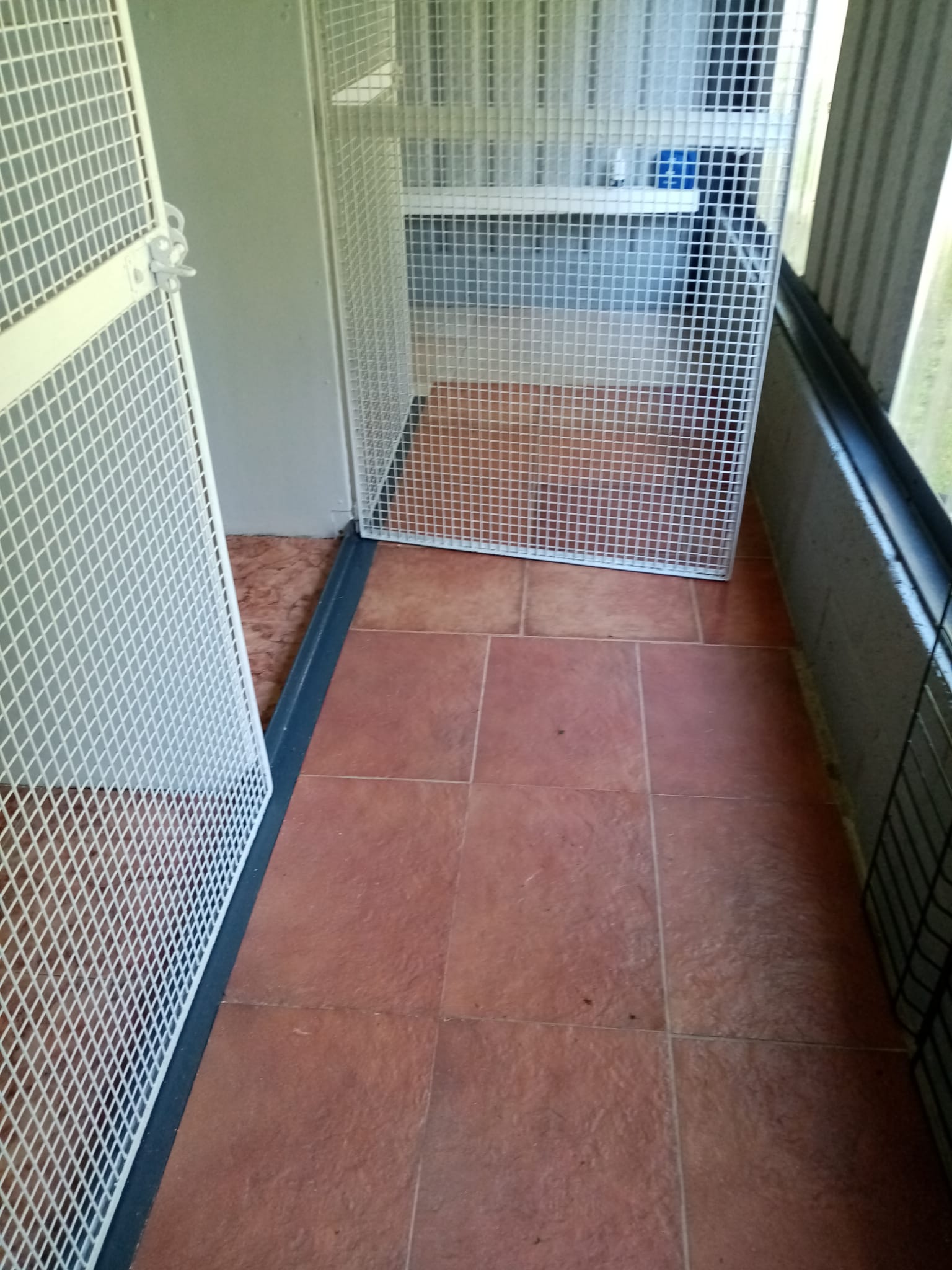 Kennels and Catteries Gallery – Glenmoor Boarding Kennels & Cattery